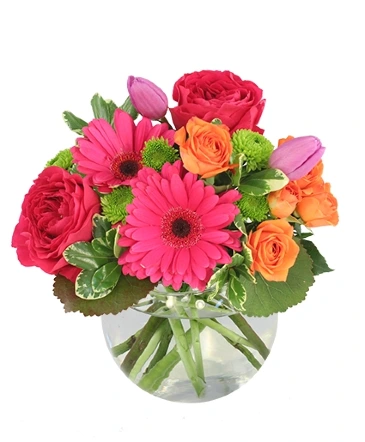 Flower Shops In Orangeburg Sc