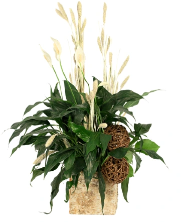 Sympathy Arrangements - ANDY'S FLOWER SHOPPE - Oneida, TN